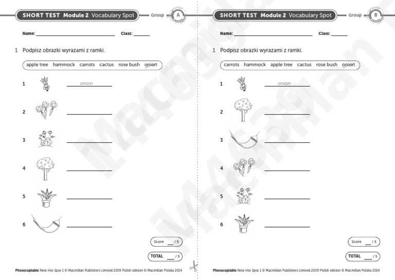 New Hot Spot 1 Short Test Module 2 Vocabulary Spot | PDF