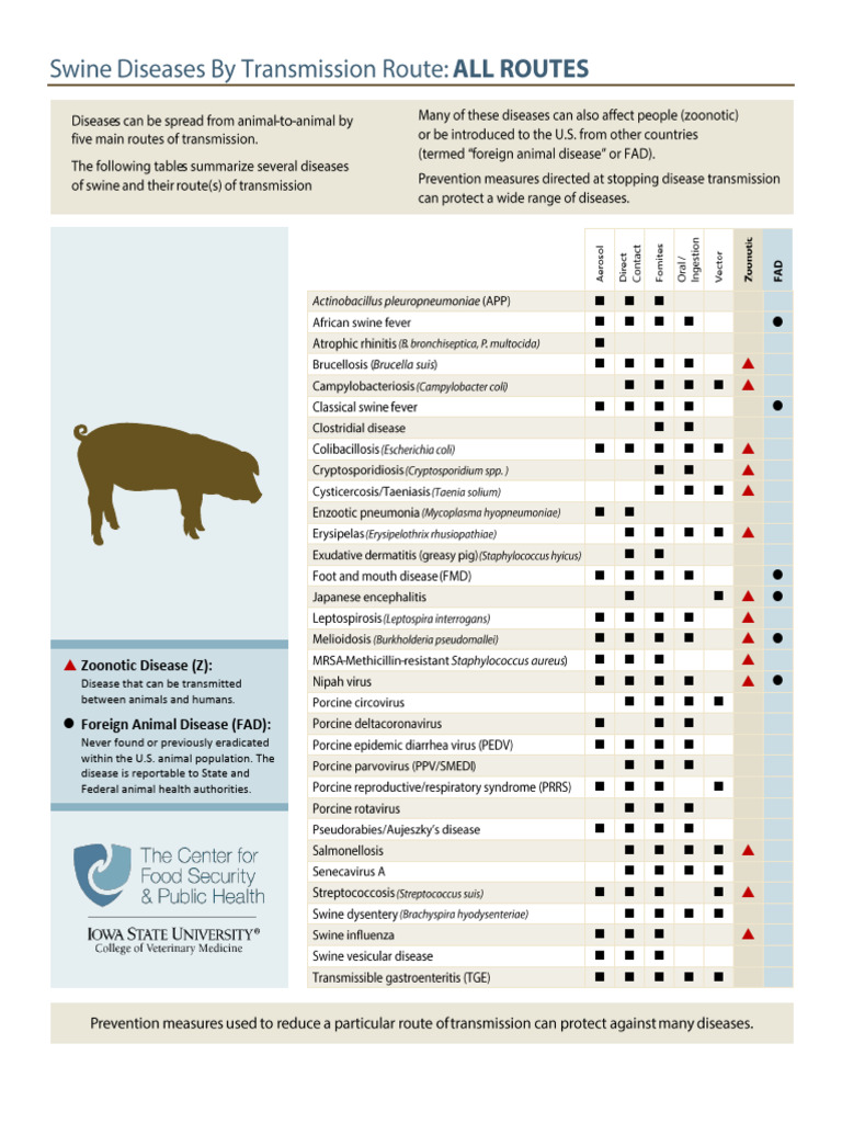 Routes Disease List Swine | PDF | Health Sciences | Causes Of Death