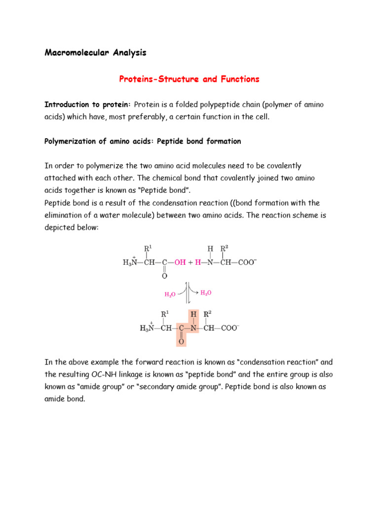 Macromolecular_Analysis | PDF | Beta Sheet | Alpha Helix