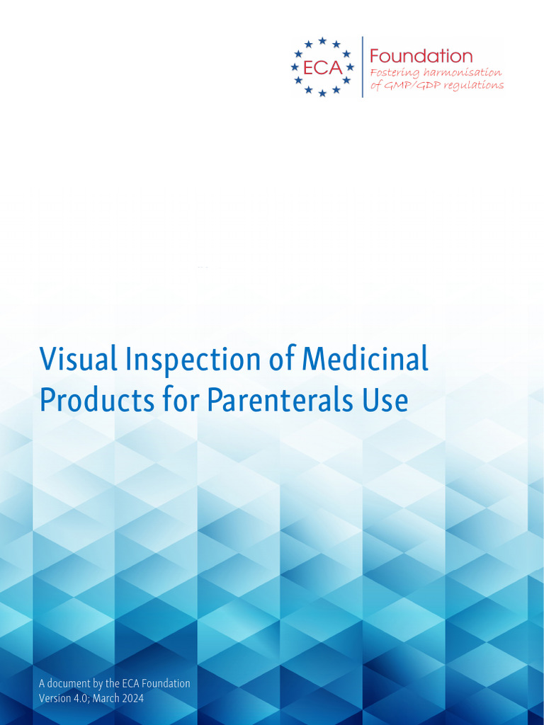 Visual Inspection Guide V4 March 2024 | PDF | Lighting | Verification And Validation