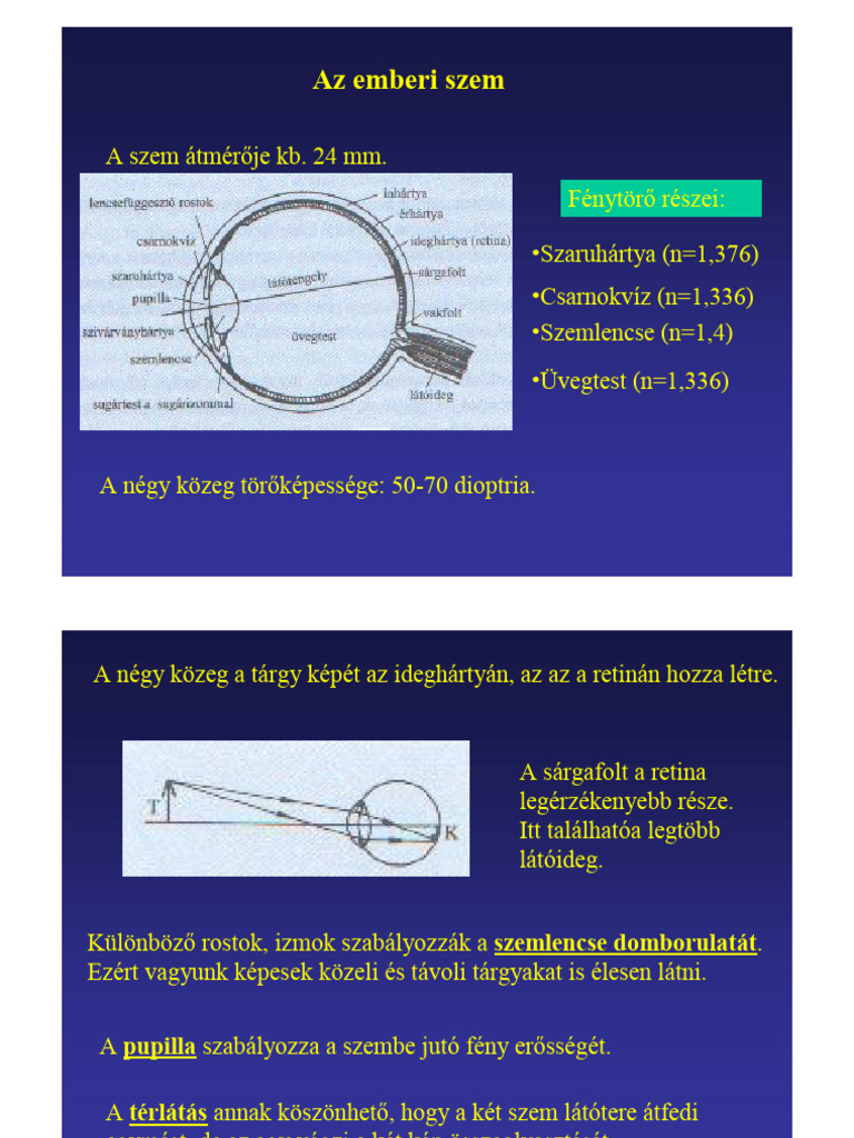 az_emberi_szem | PDF