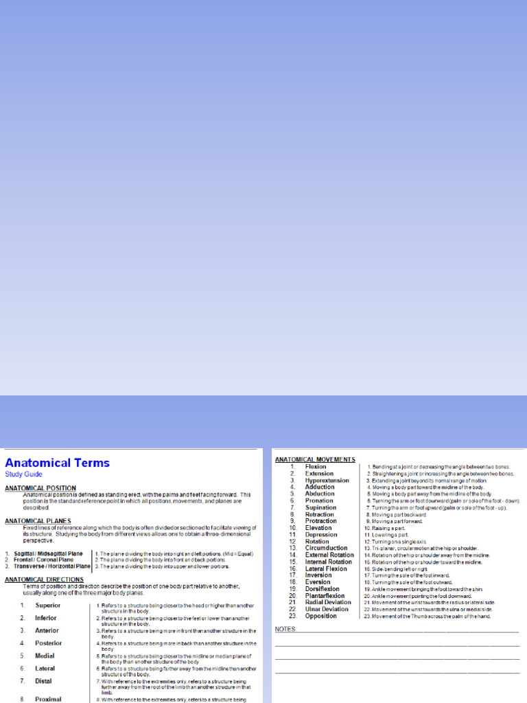 Anatomical Terminologies | PDF | Anatomical Terms Of Motion | Limbs (Anatomy)