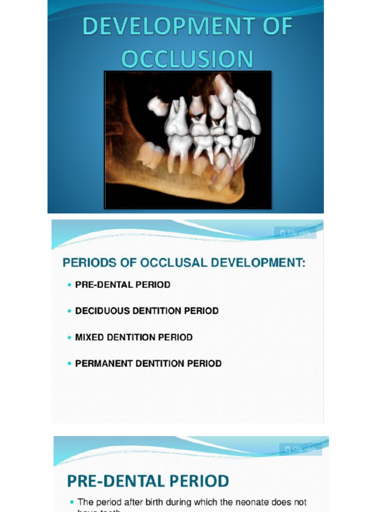 Ćw. 1-Development of occlusion | PDF