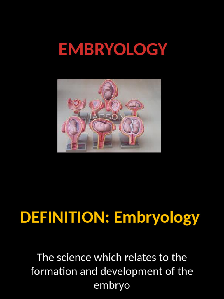 Introduction To Embryology-2 | PDF | Nervous System | Fertilisation