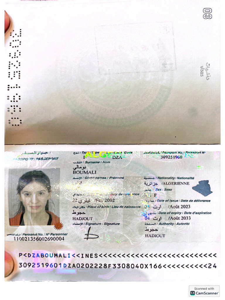 Passport | PDF