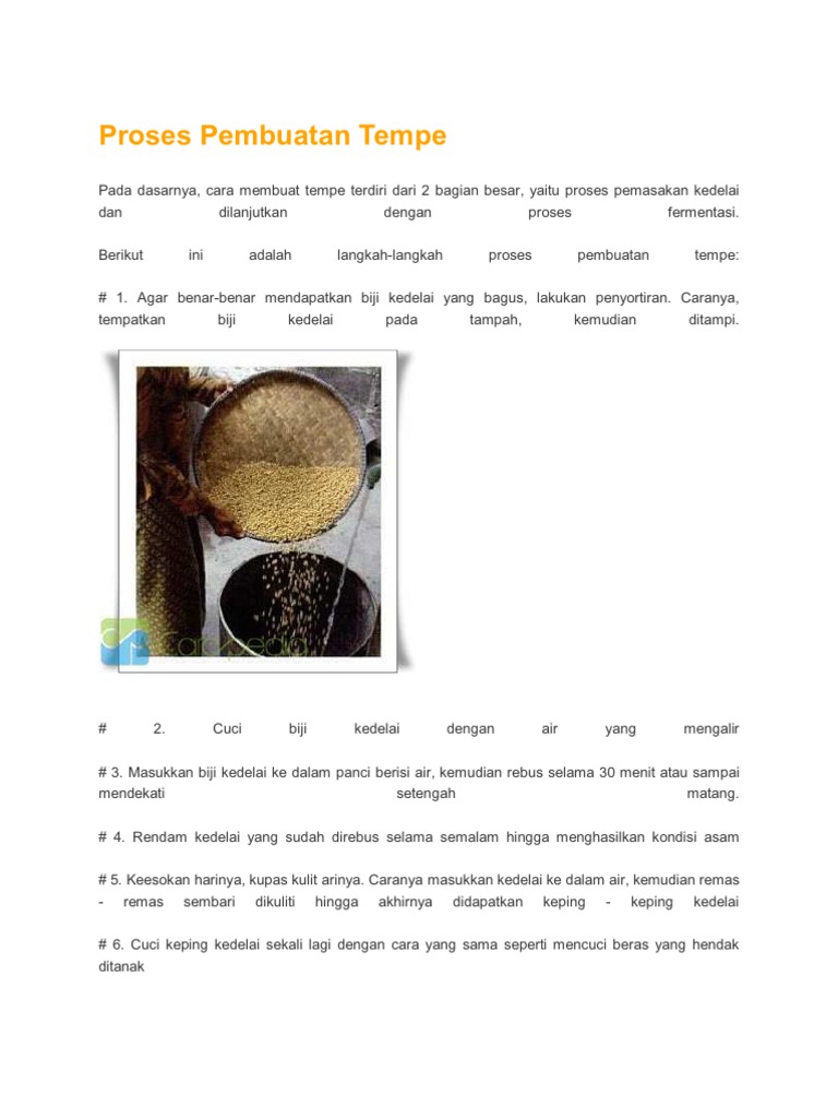 Proses Pembuatan Tempe | PDF