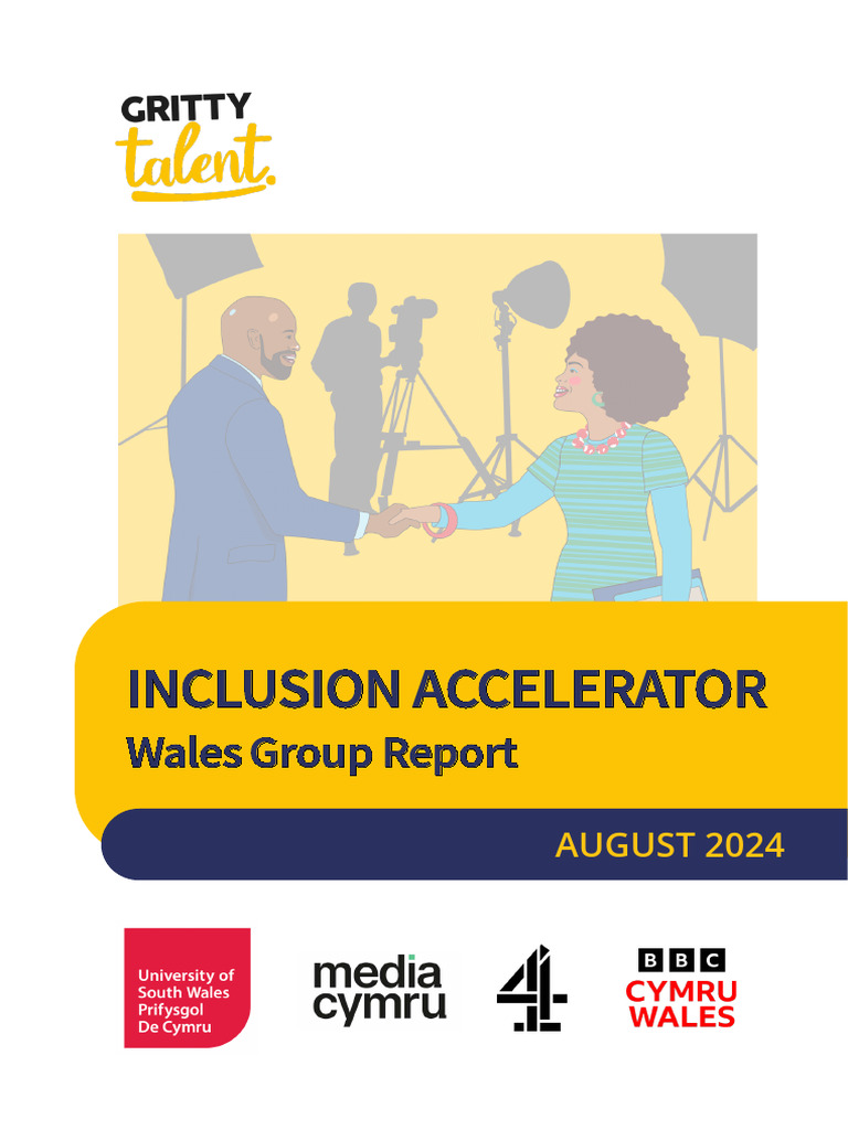 Inclusion Accelerator Diversity Audit Wales Report | PDF | Disability ...