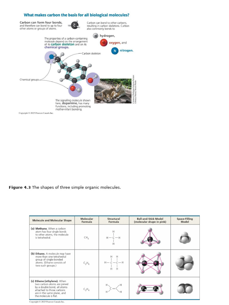 Chapter 4 Figures | PDF