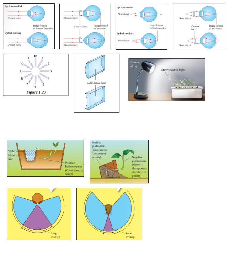 f3 Science Chap 1 | PDF
