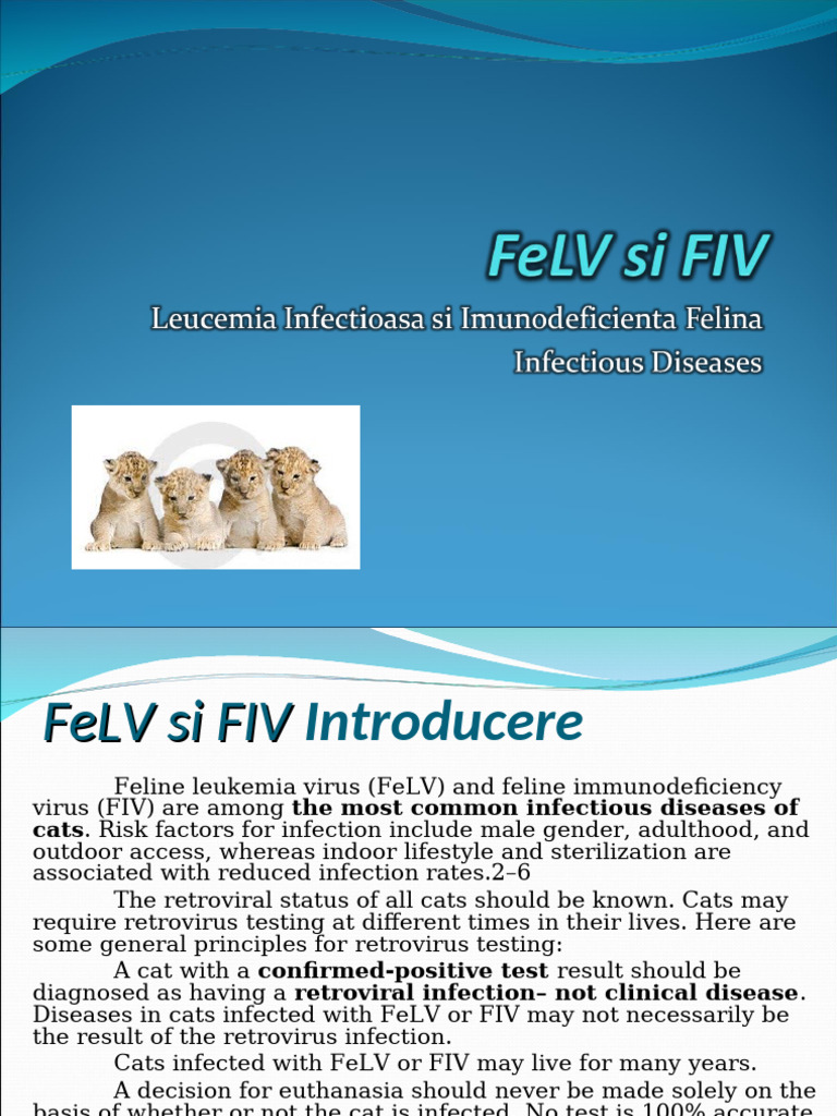 Boli Pisici An 5 Curs FelV Si FIV | PDF | Infection | Microbiology