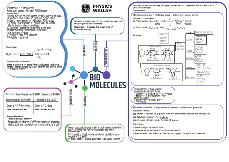 Biomolecules _ Mind Map | PDF | Carbohydrates | Glucose