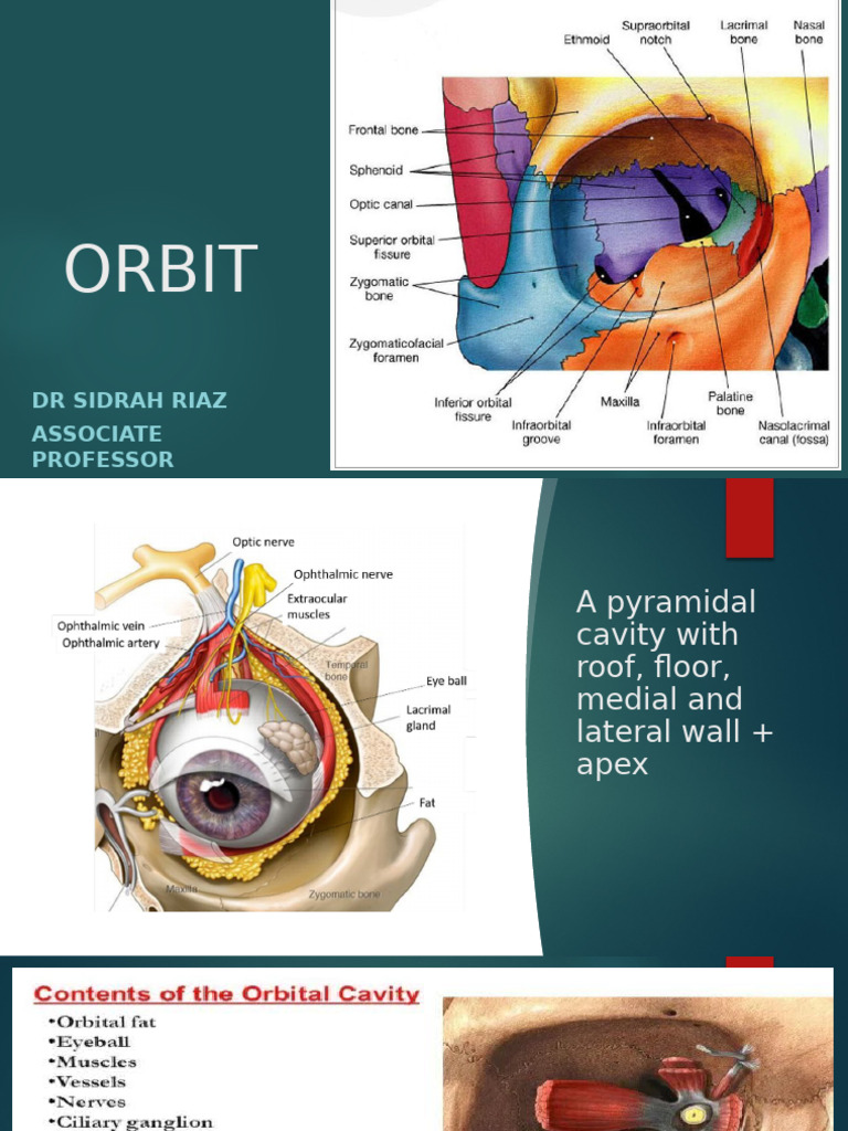 ORBIT (2) | PDF | Medical Specialties | Clinical Medicine