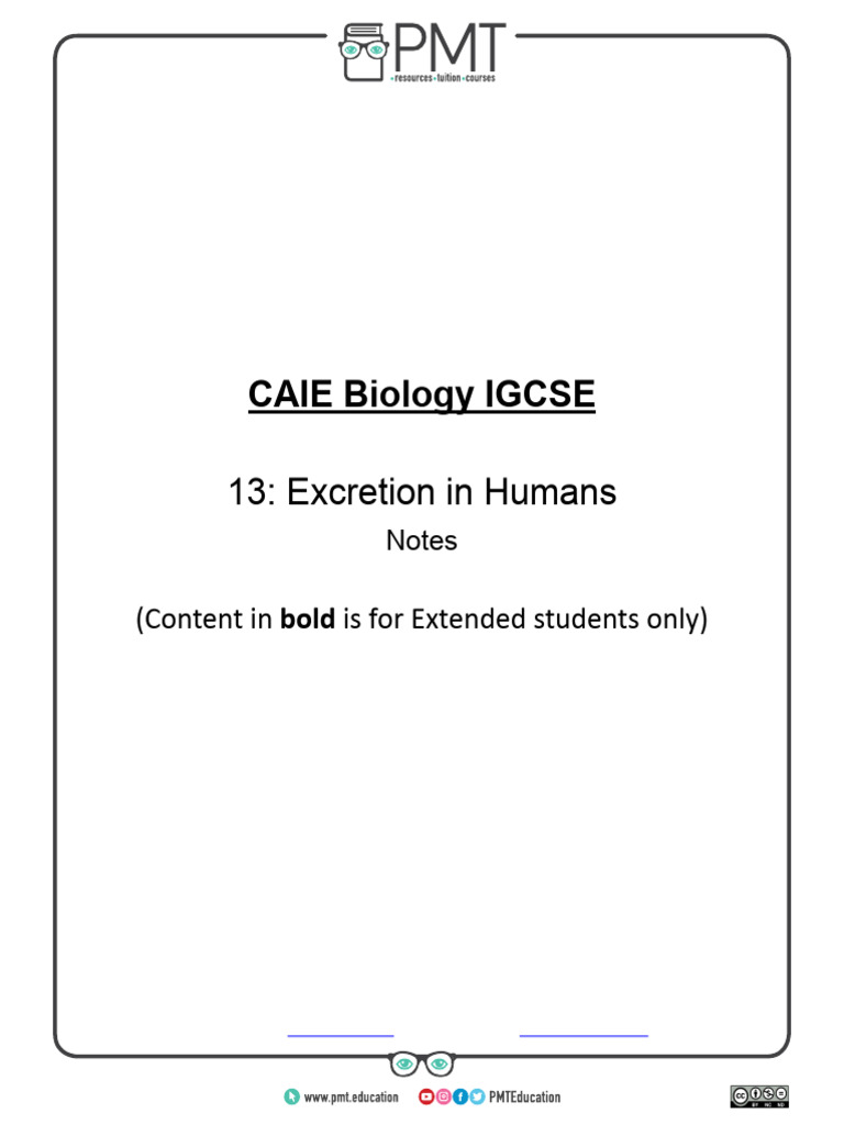Summary Notes - Topic 13 Excretion in Humans - CAIE Biology IGCSE | PDF ...