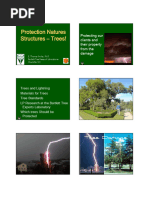 NJUG Publication Volume 1 | PDF | Root | Trees