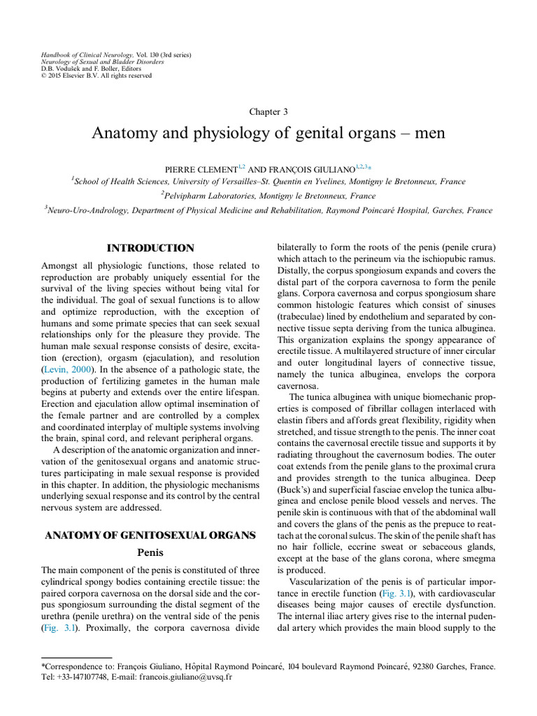 Anatomy and Physiology of Genital Organs - Men | PDF | Luteinizing ...
