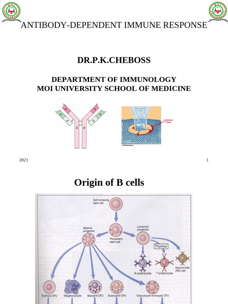 Antibobody Immune Response MSB 100 | PDF | Vaccines | Antibody