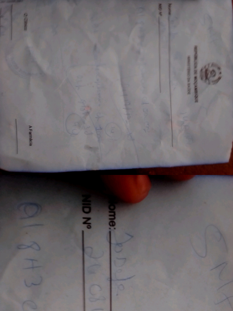 PDF_Phoenix_20240819_182030 | PDF