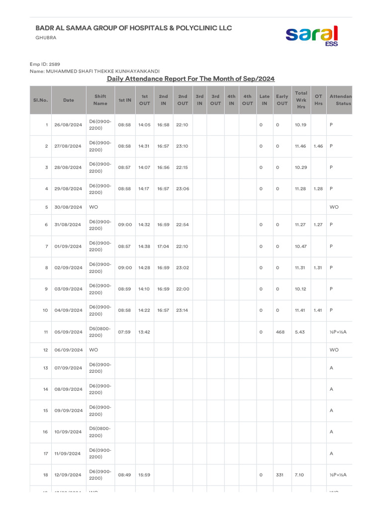 Daily Punch Report | PDF