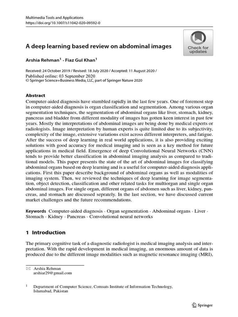 A Deep Learning Based Review on Abdomina | PDF | Medical Imaging | Ct Scan