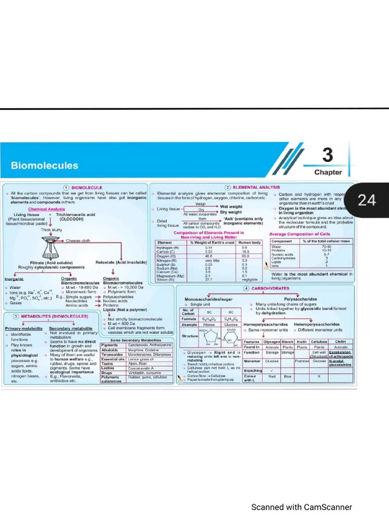 Chapter Biomolecules Notes | PDF