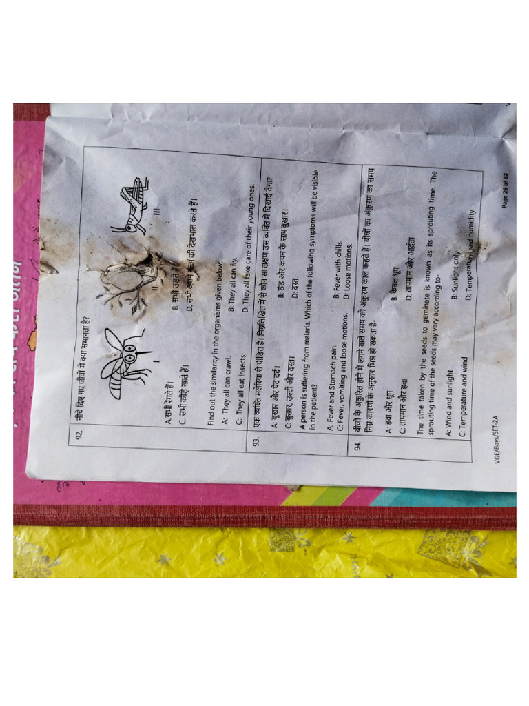 PDFGallery 20241004 114140 | PDF