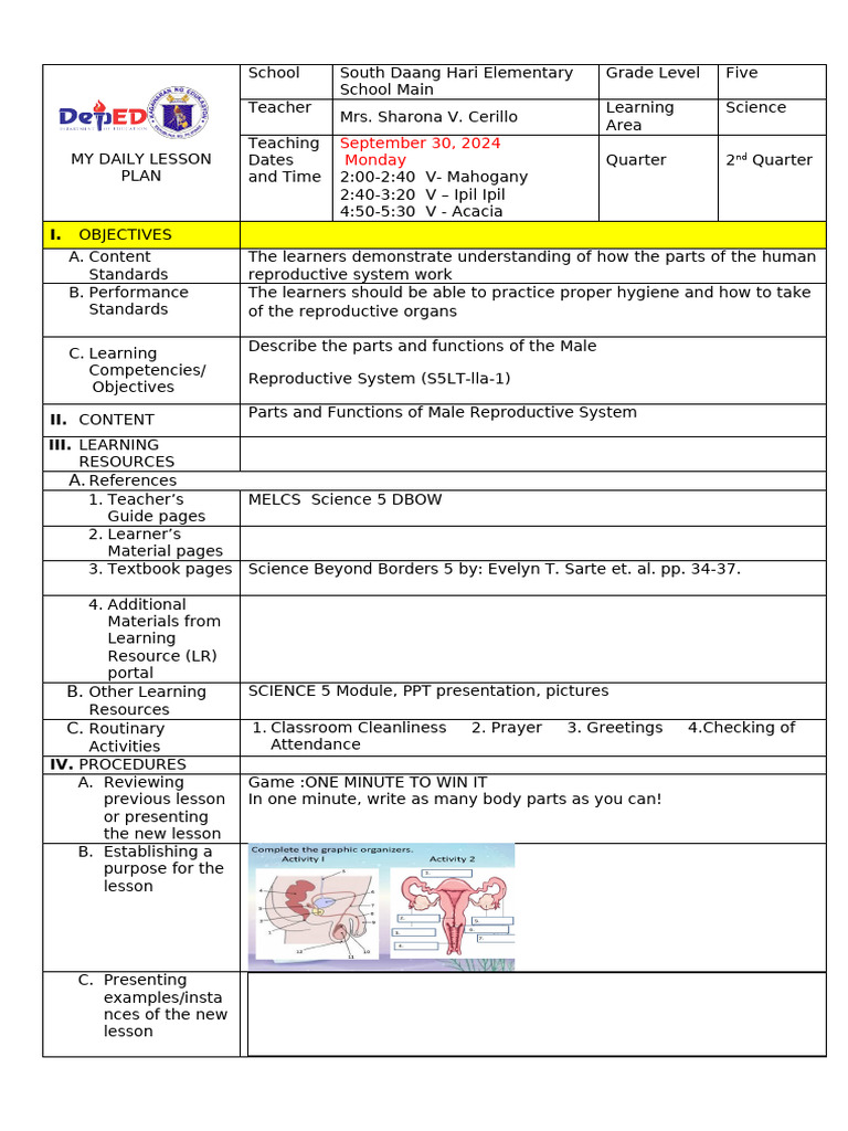 Male Reproductive System Lesson Plan | PDF | Reproduction | Sex