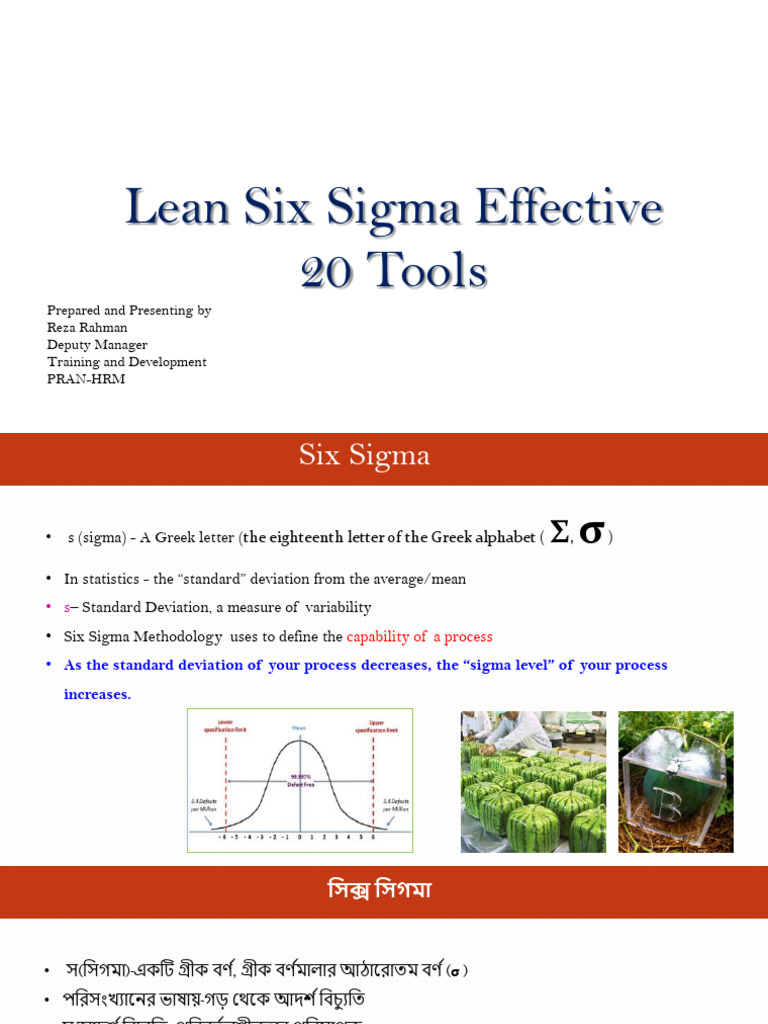 Six Sigma Easy 20 Tools | PDF