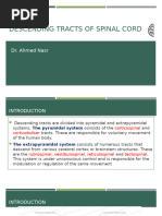 Spinal Red Flags Infographic 1704053180 | PDF | Osteoporosis | Pain