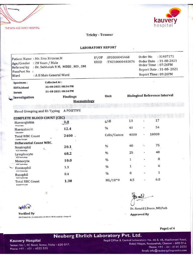 Blood Test Report | PDF