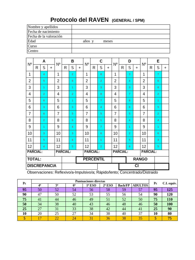 Protocolo Del RAVEN General (SPM) | PDF
