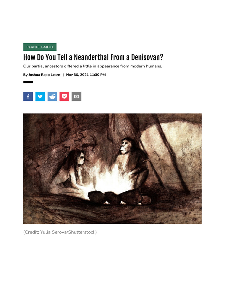How Do You Tell a Neanderthal From a Denisovan? | Discover Magazine | PDF | Neanderthal | Stone Age