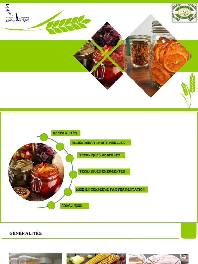 Techniques de conservation des aliments | PDF | Conservation des ...
