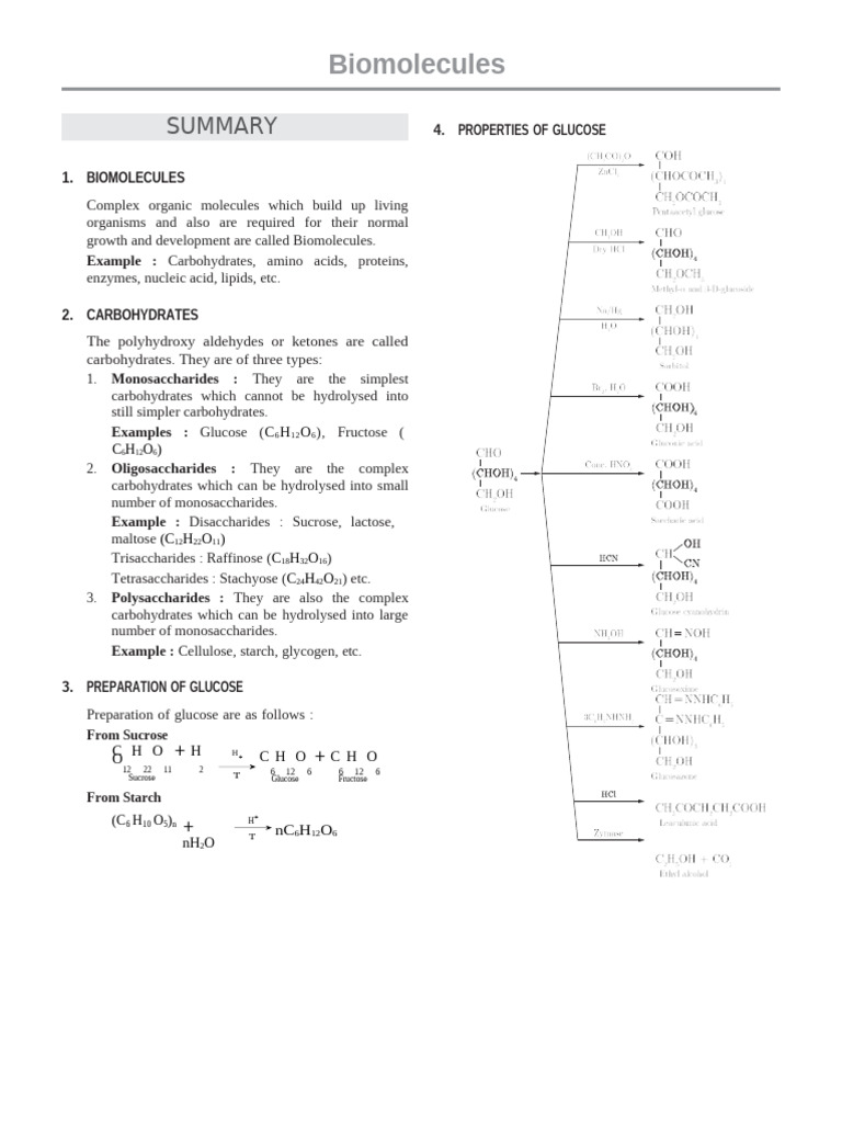Biomolecule | PDF | Carbohydrates | Nucleotides