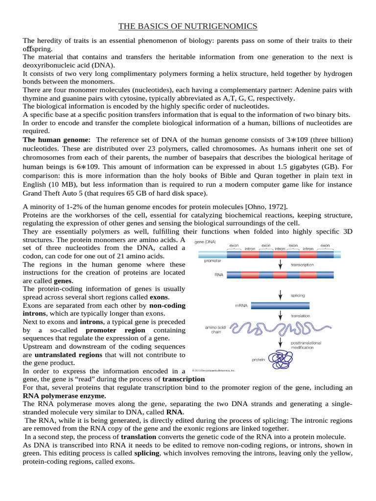 The Basics of Nutrigenomics | PDF | Rna | Gene