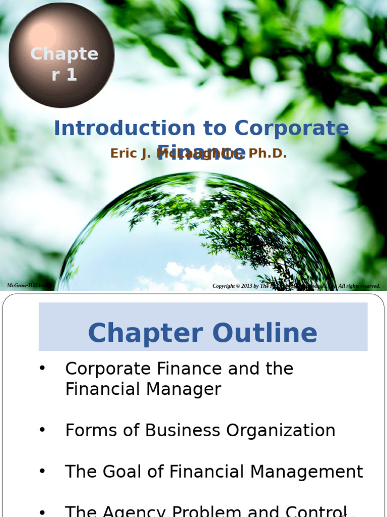 Chap 001 | PDF | Limited Liability Company | Partnership