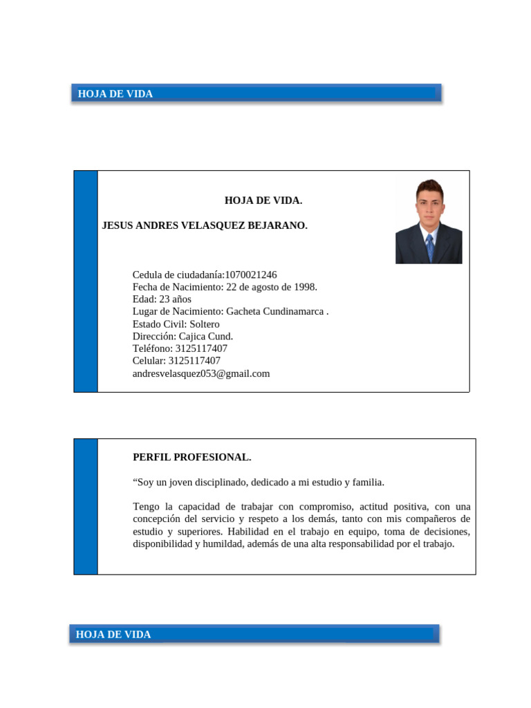Hoja de Vida Actualizada Andres | PDF