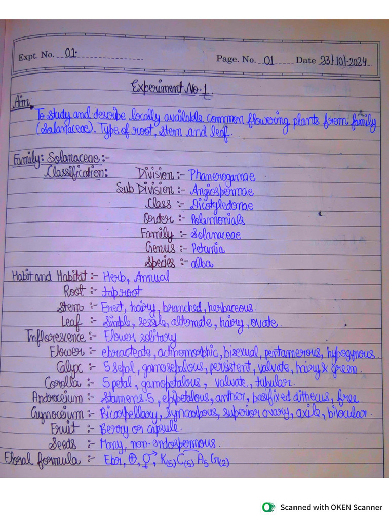 Biology Practical 1 To 6 | PDF