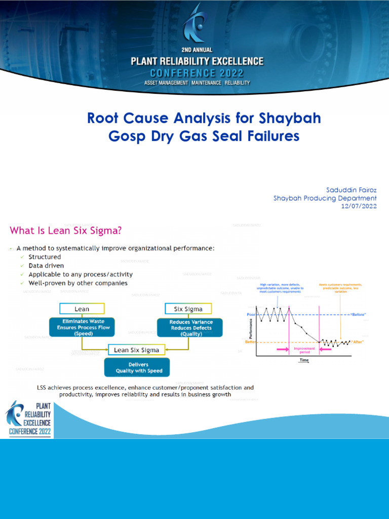 Maximizing Reliability of DGS Seals Natural Gas Plant 1729572314 | PDF ...