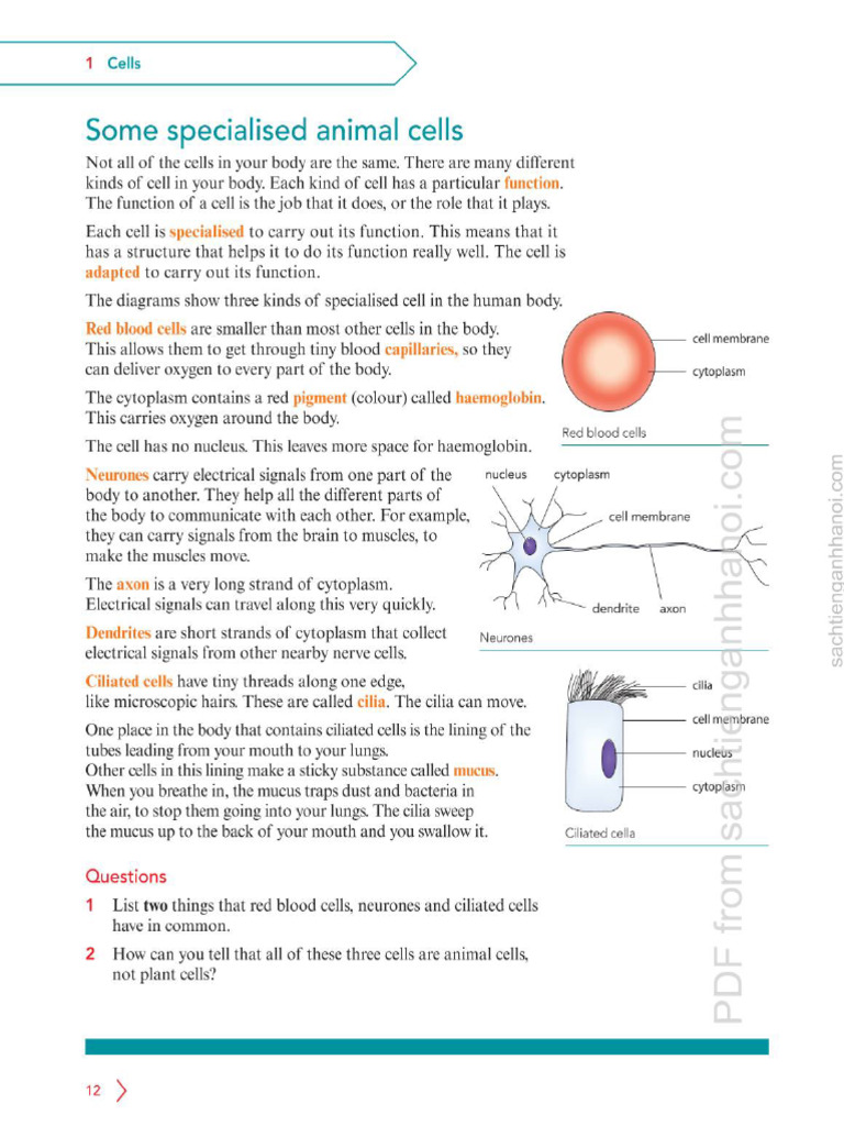 check your progress g7 answers | PDF