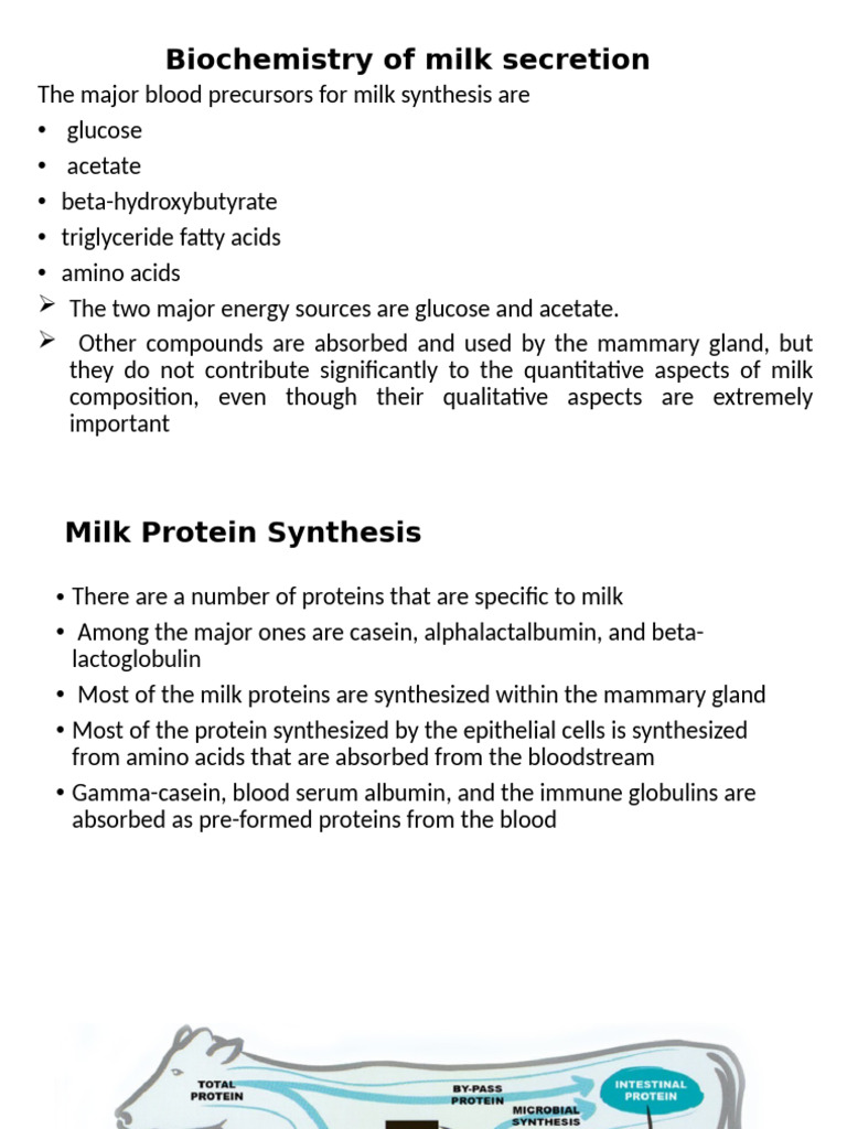 Biochemistry of Milk Secretion | PDF | Fatty Acid | Triglyceride