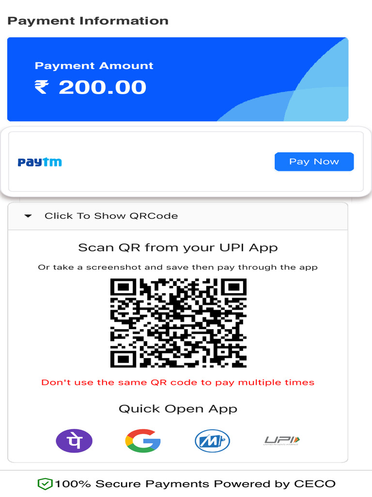 Secure UPI Payment Instructions | PDF