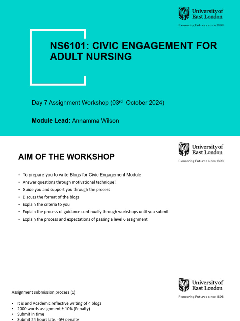 Civic Engagement Assignment Workshop (New) | PDF | Argument | Motivation