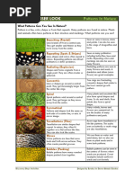 The Promise Nicola Davies | PDF