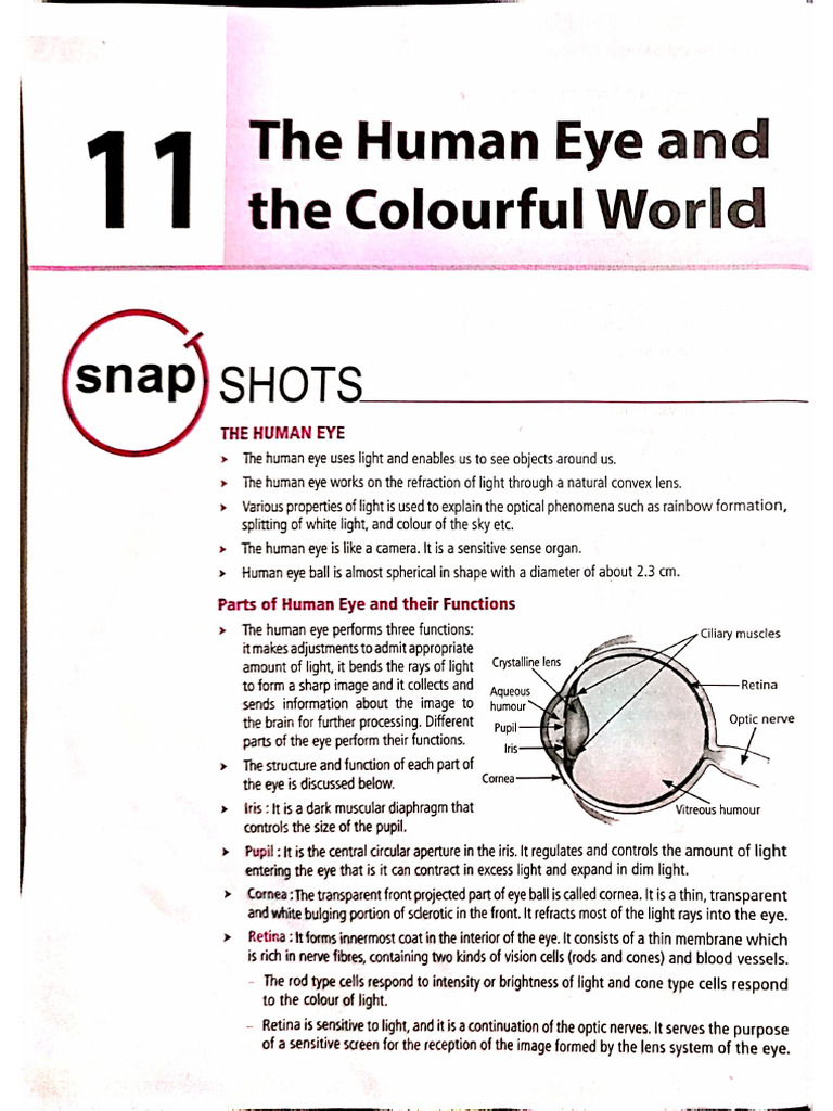 human eye | PDF