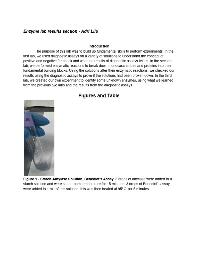 Adri Lila - Enzyme Lab Results Section | PDF | Enzyme | Biochemistry