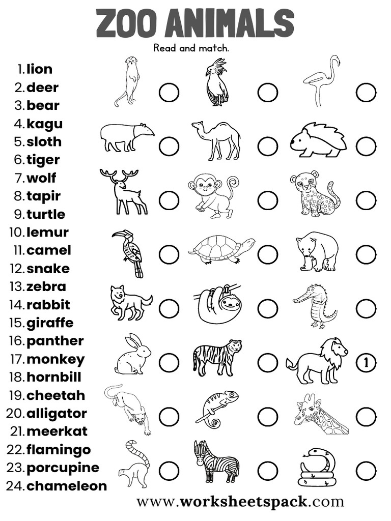 Zoo Animals Worksheets Black and White | PDF