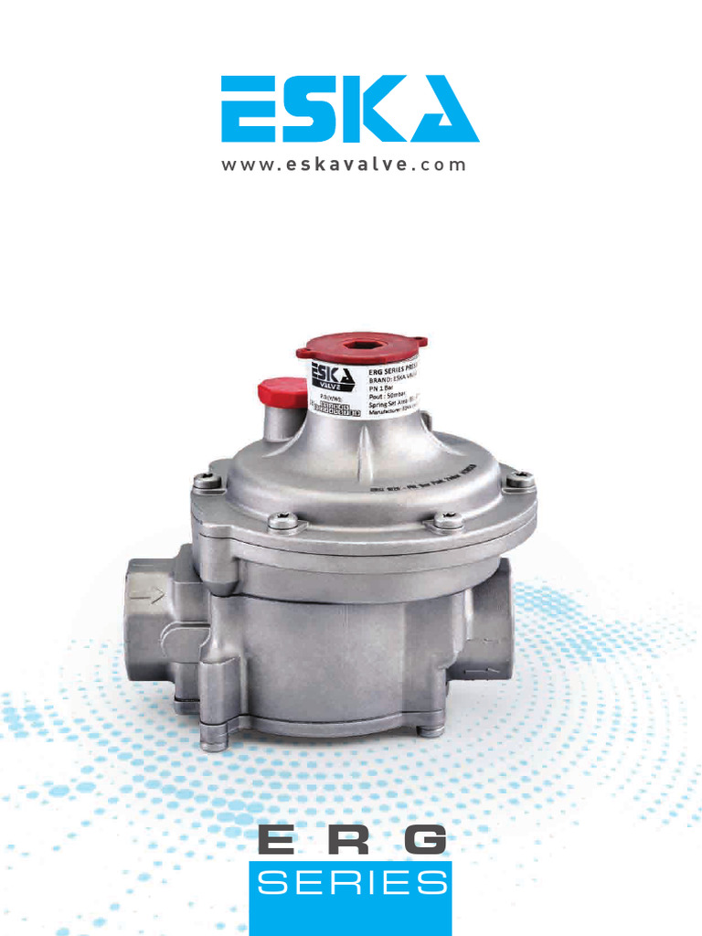 Reguladora para Gas ESKA ERS SERIES | PDF | Natural Gas | Gases