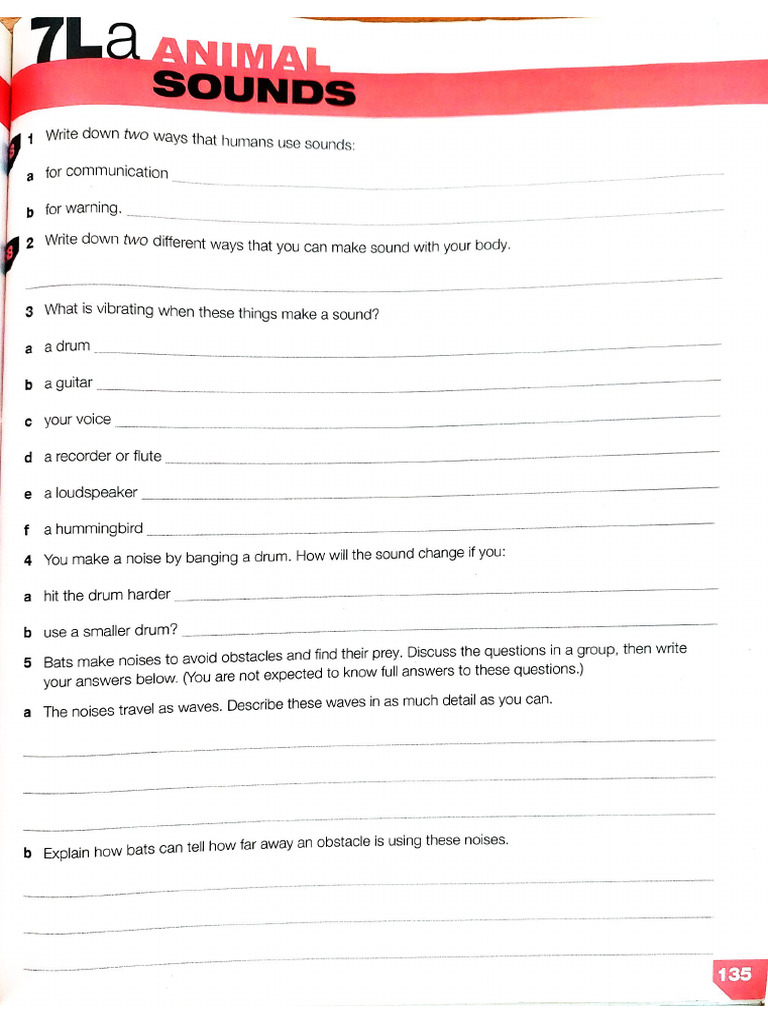 Workbook 7L Sound | PDF