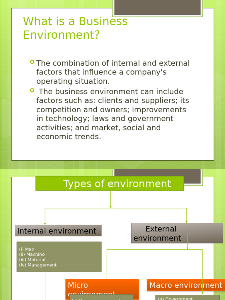 Lecture 6 - Business Environment | PDF | Taxes | Economics