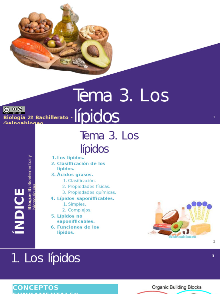 Tema 3 Los Lã Pidos | PDF | Lípido | Ácido graso